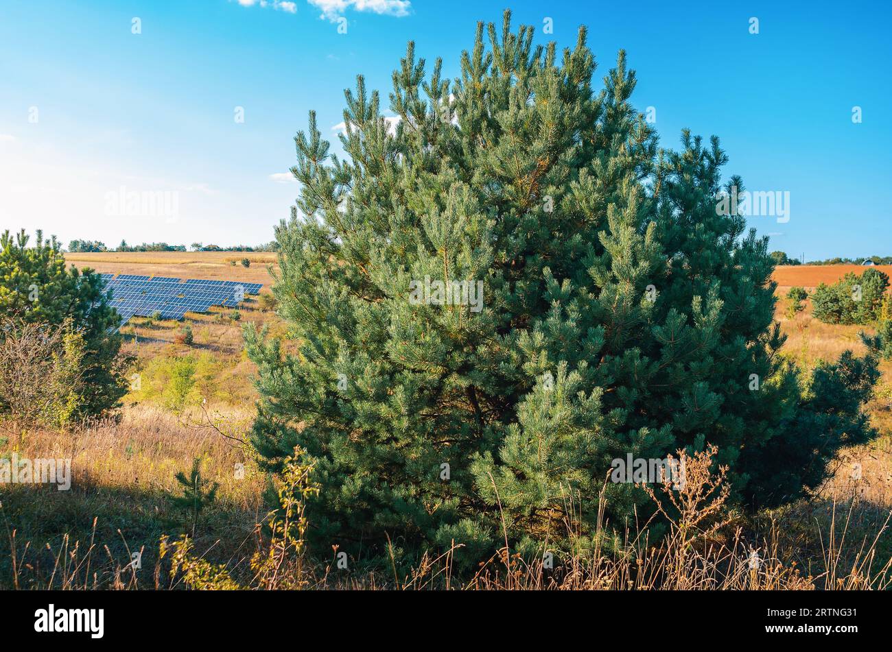 Oregon solar field hi-res stock photography and images - Alamy