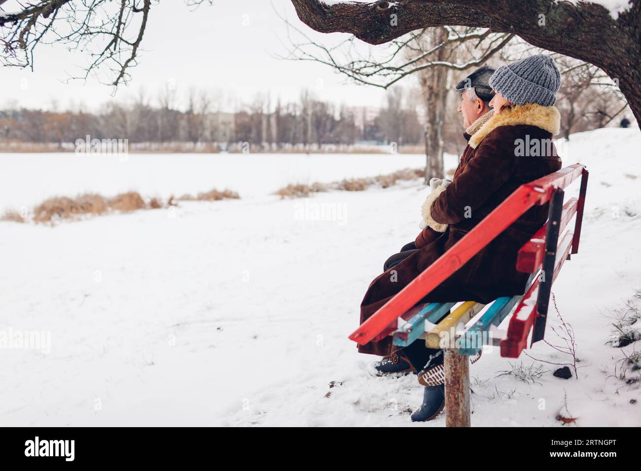 Senior family couple sitting on bench outdoors during snowy winter ...