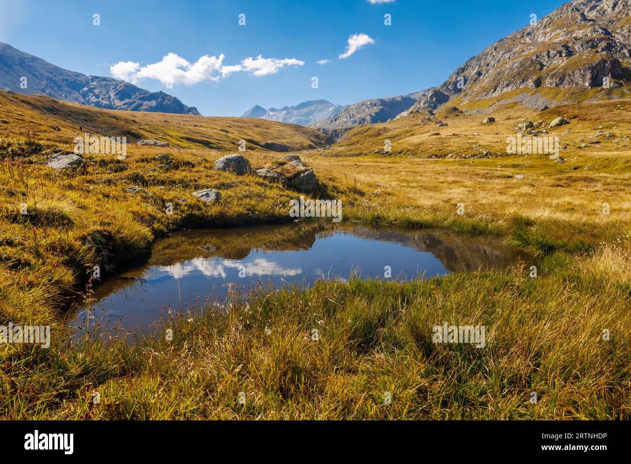 pond on alpine plateau of Greina, Surselva Stock Photo - Alamy