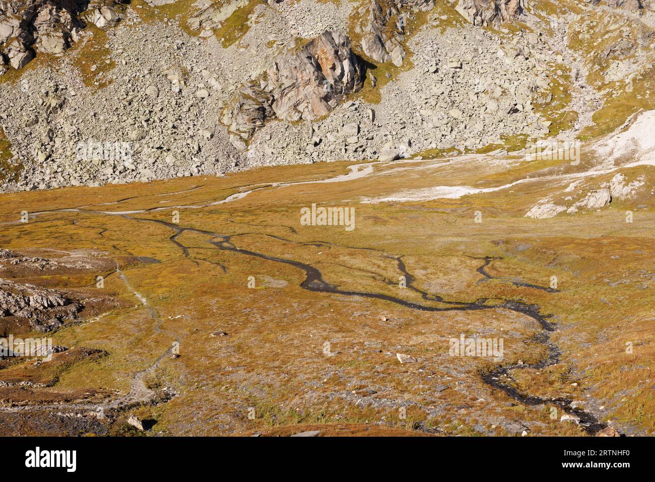 meandering creek on the alpine plateau of Greina, Surselva Stock Photo ...