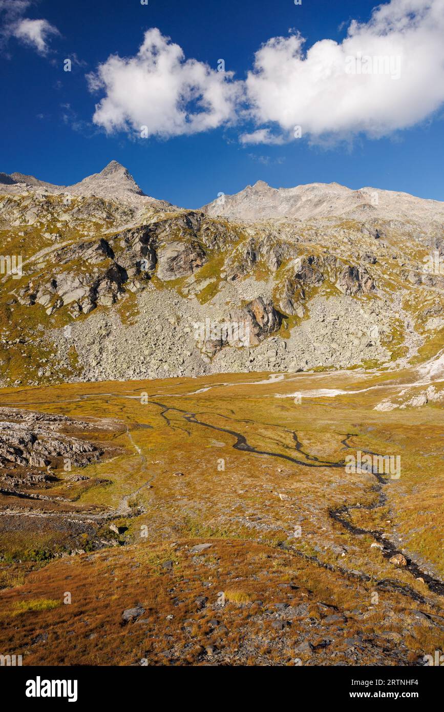 meandering creek on the alpine plateau of Greina, Surselva Stock Photo ...