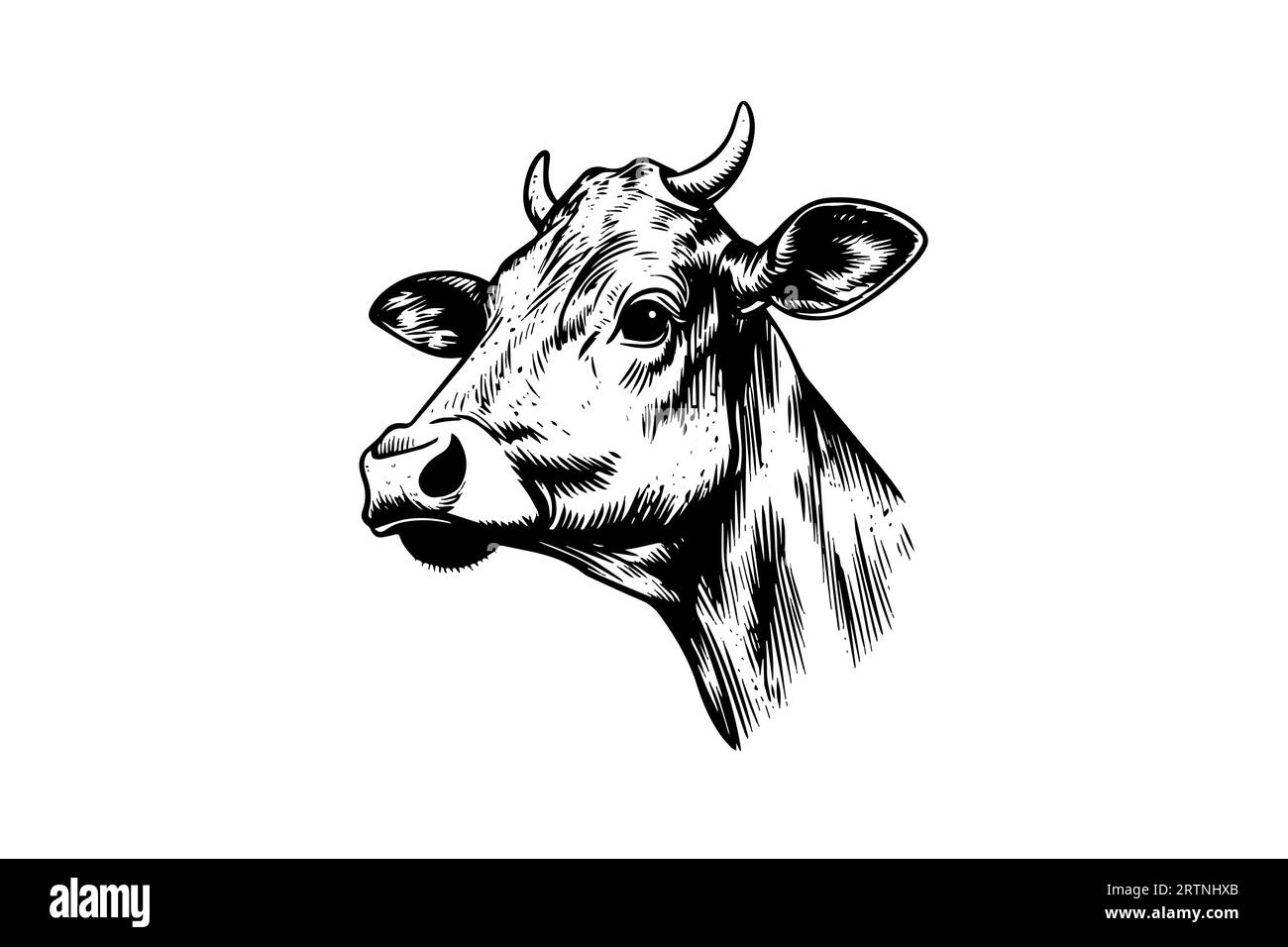 Cow head with horns logotype engraving style isolated vector ...