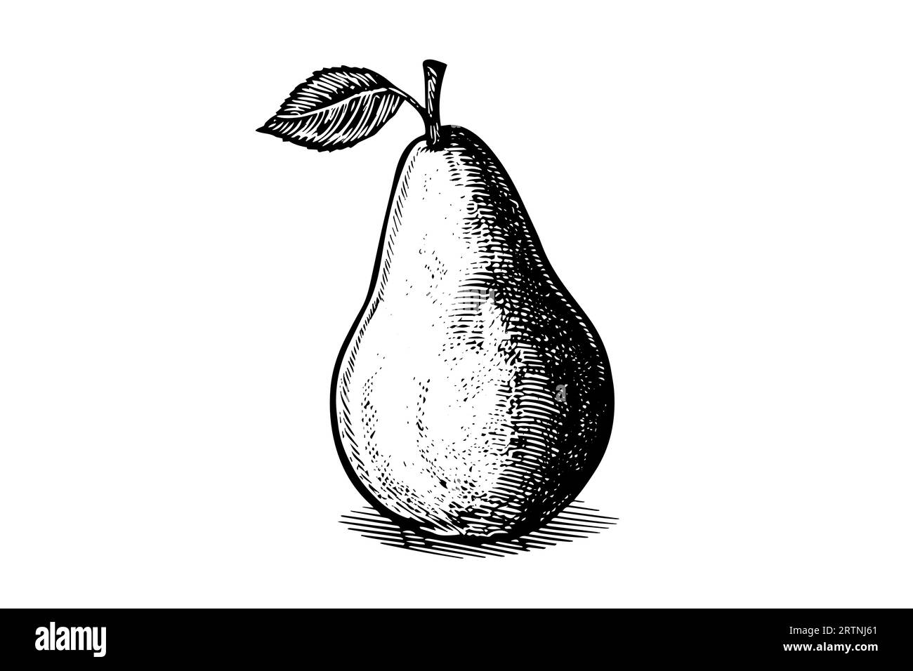 Pear. Ink sketch isolated on white background. Hand drawn vector ...