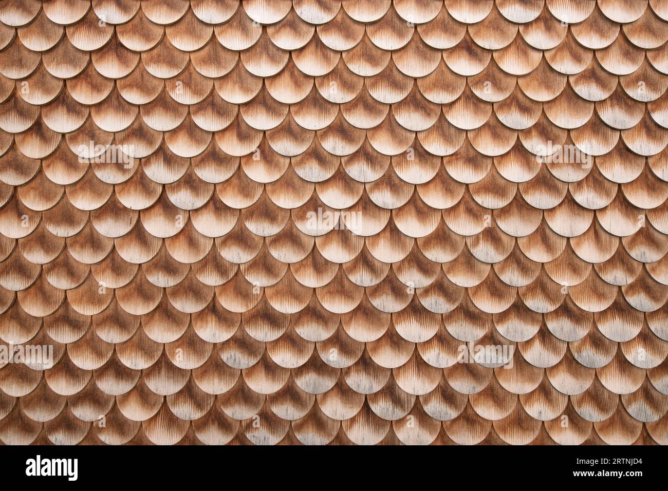 Wooden round bottom shingles of wall siding of historic farmhouse. Wood ...