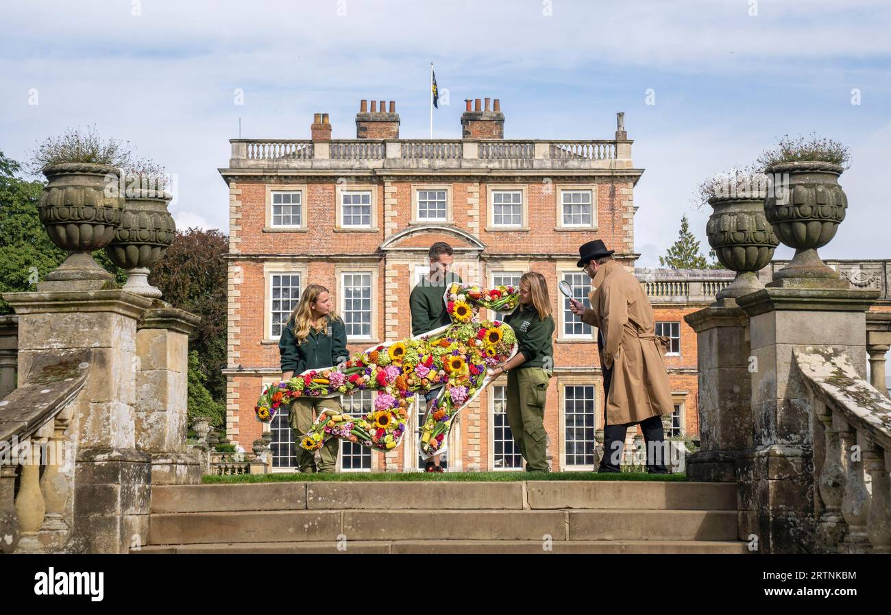 Alexander McDonnell, playing the role of a detective, looks on as ...