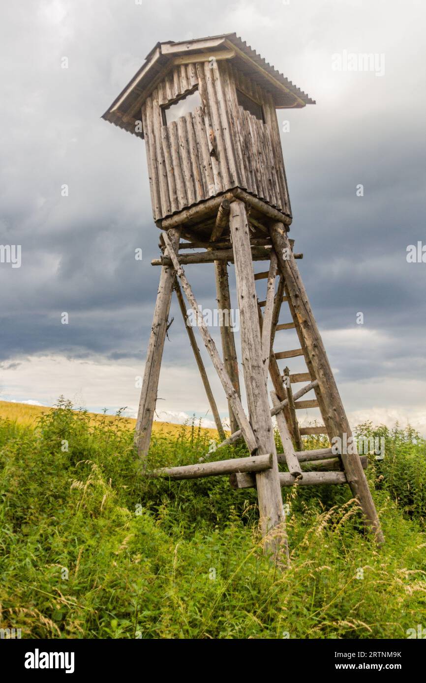 High and hunters seat in the forest hi-res stock photography and images ...