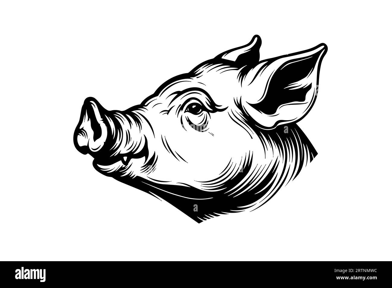 Cute pig or pork head engraving style vector illustration Stock Vector ...
