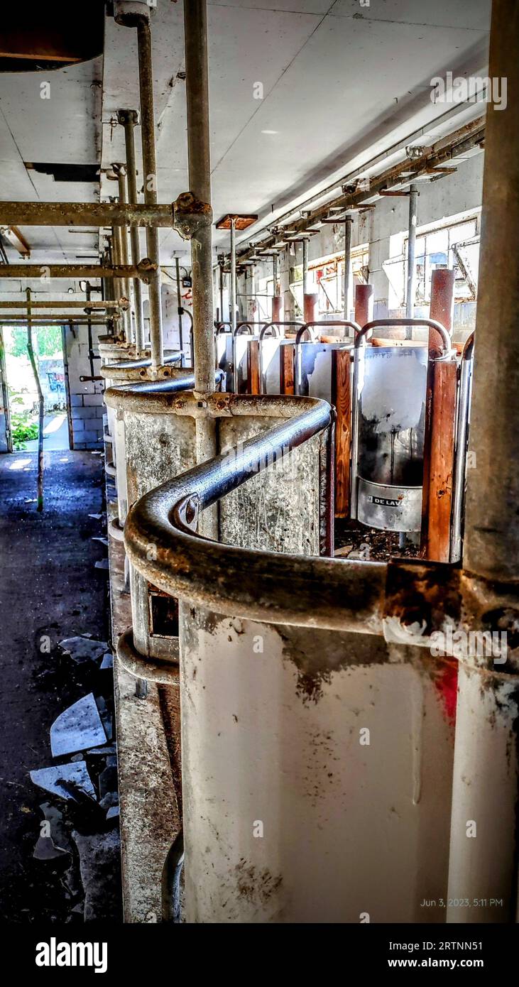 An abandoned asylum in spooky looking atmosphere Stock Photo - Alamy