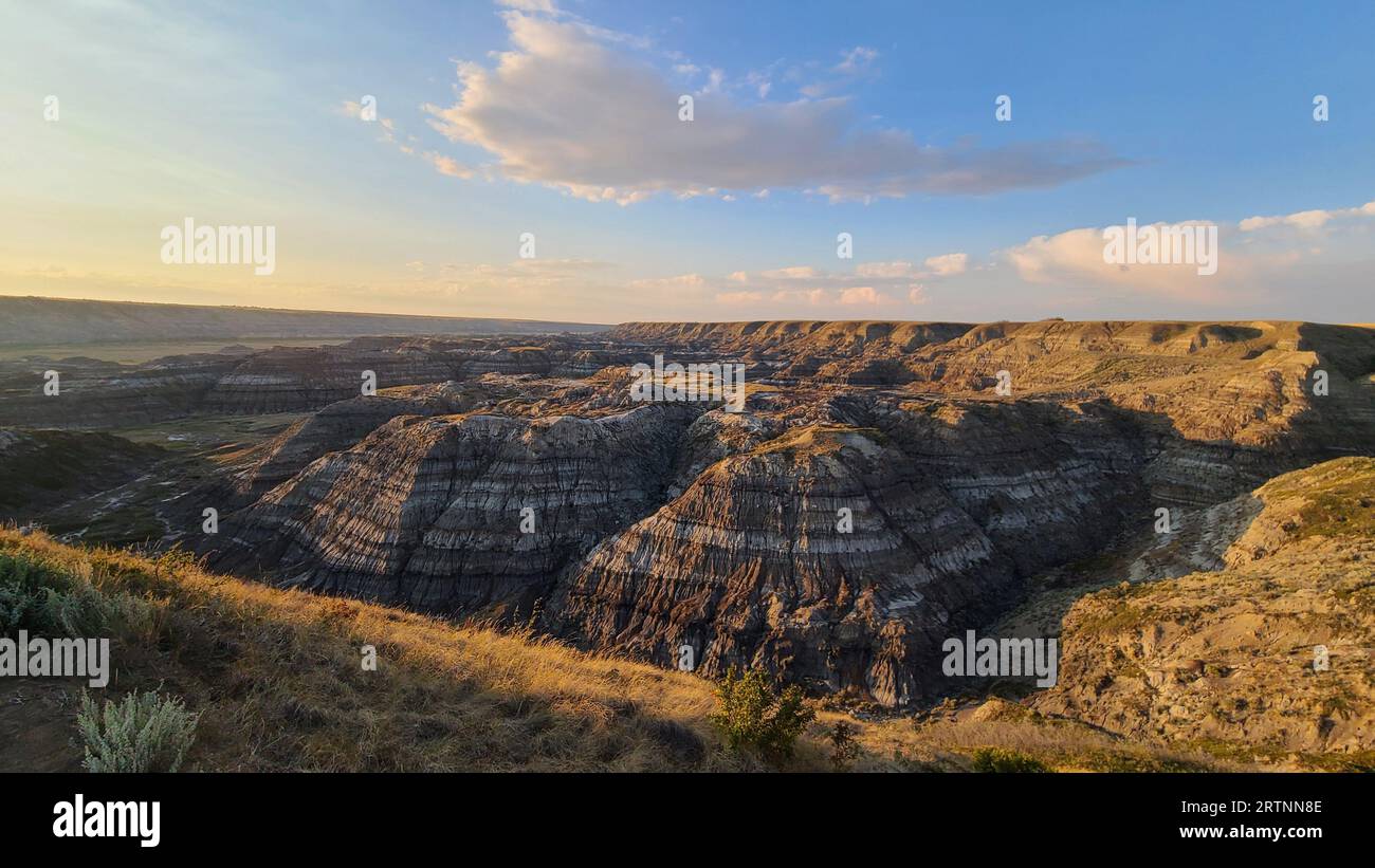 Starland hi-res stock photography and images - Alamy