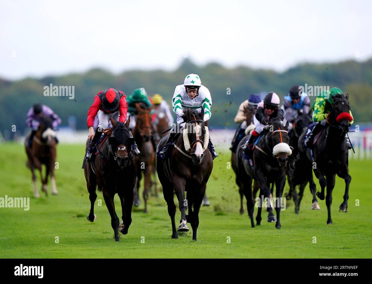 Meriel tufnell hi-res stock photography and images - Alamy