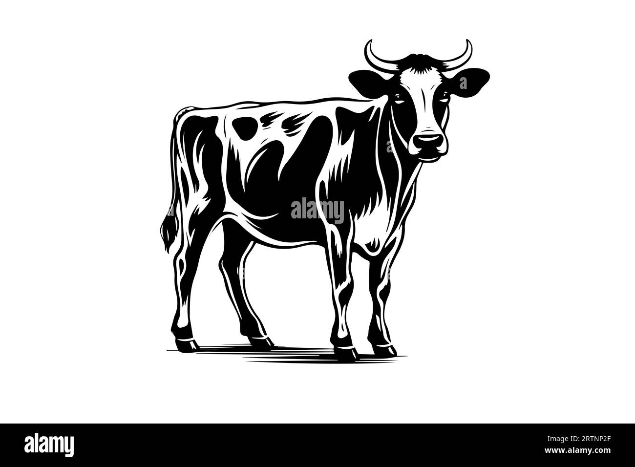 Cow logotype hand drawn ink sketch. Engraving style vector illustration ...