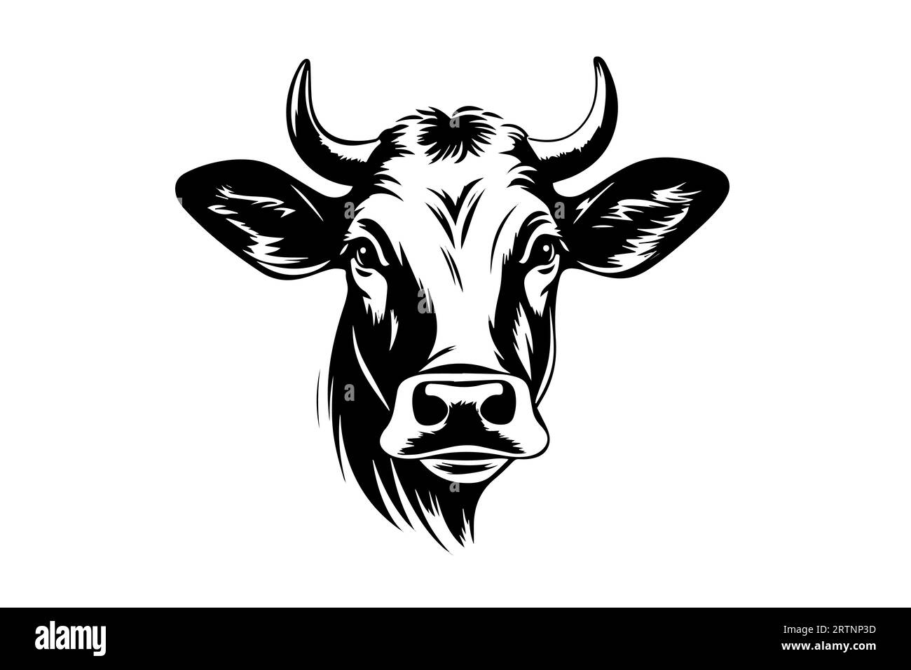 Cow logotype hand drawn ink sketch. Engraving style vector illustration ...