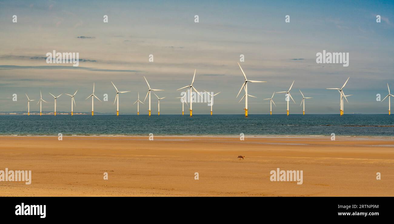 Wind Turbines in the Sea - North East England Stock Photo - Alamy