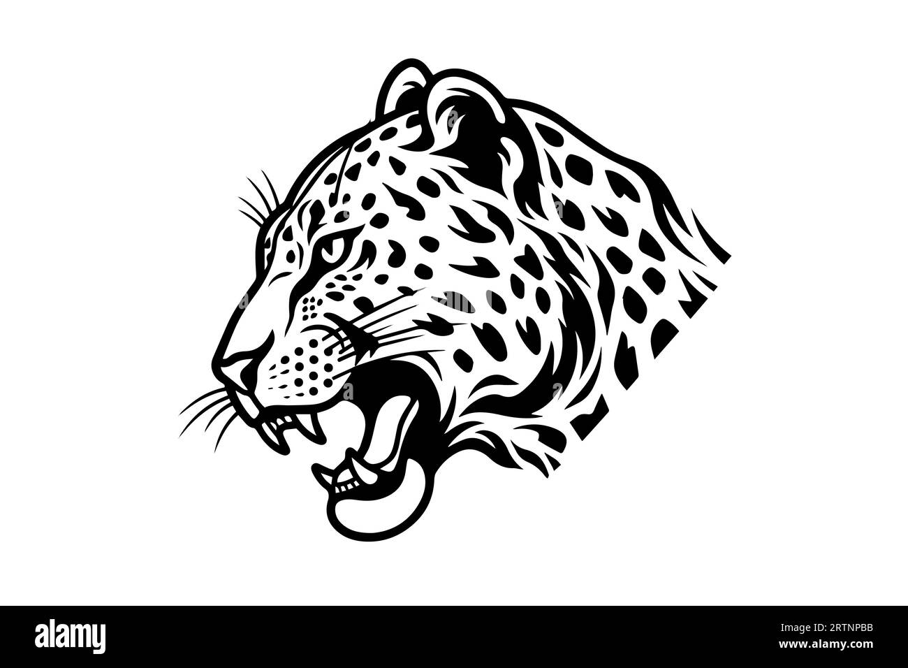 Leopard head logotype or mascot hand drawn ink sketch. Engraving style ...