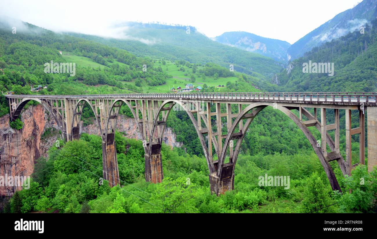 The Đurđevića Tara Bridge is the arch bridge that crosses the Tara, and ...