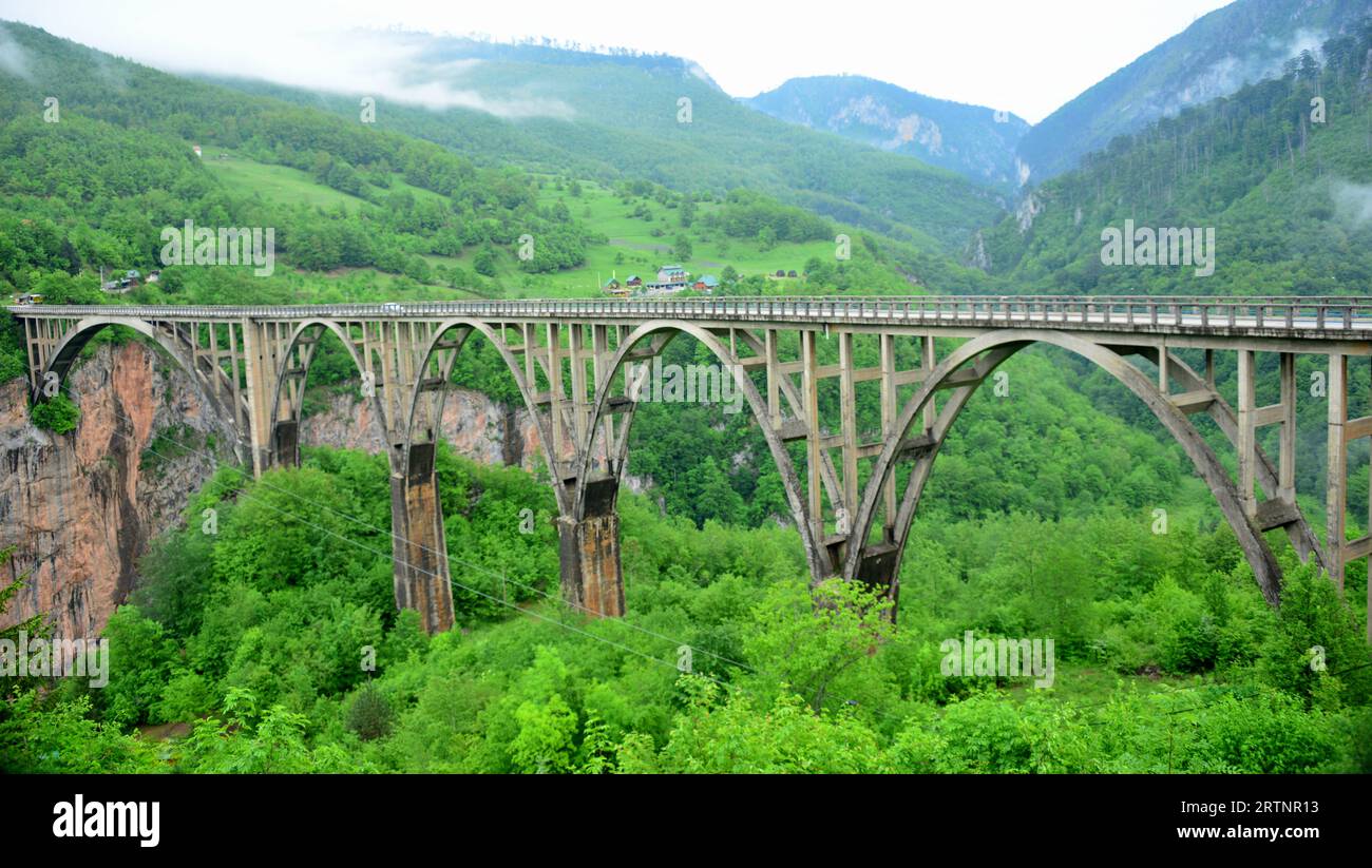 The Đurđevića Tara Bridge is the arch bridge that crosses the Tara, and ...