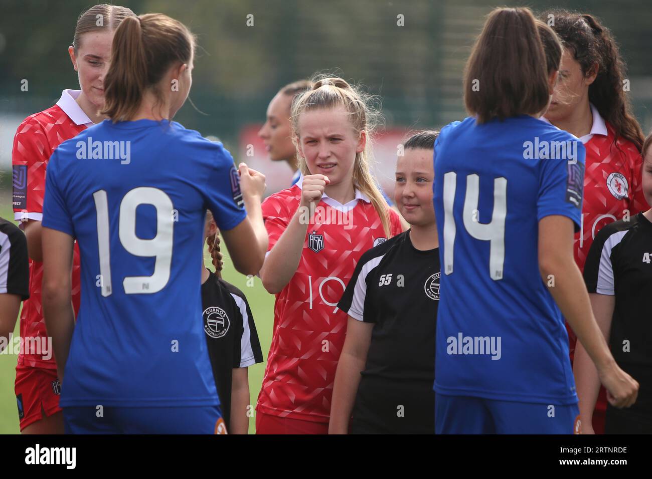 Souther priemer hi-res stock photography and images - Alamy