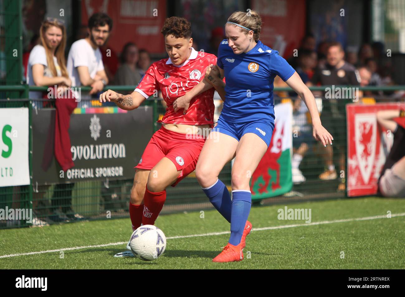 Souther priemer hi-res stock photography and images - Alamy