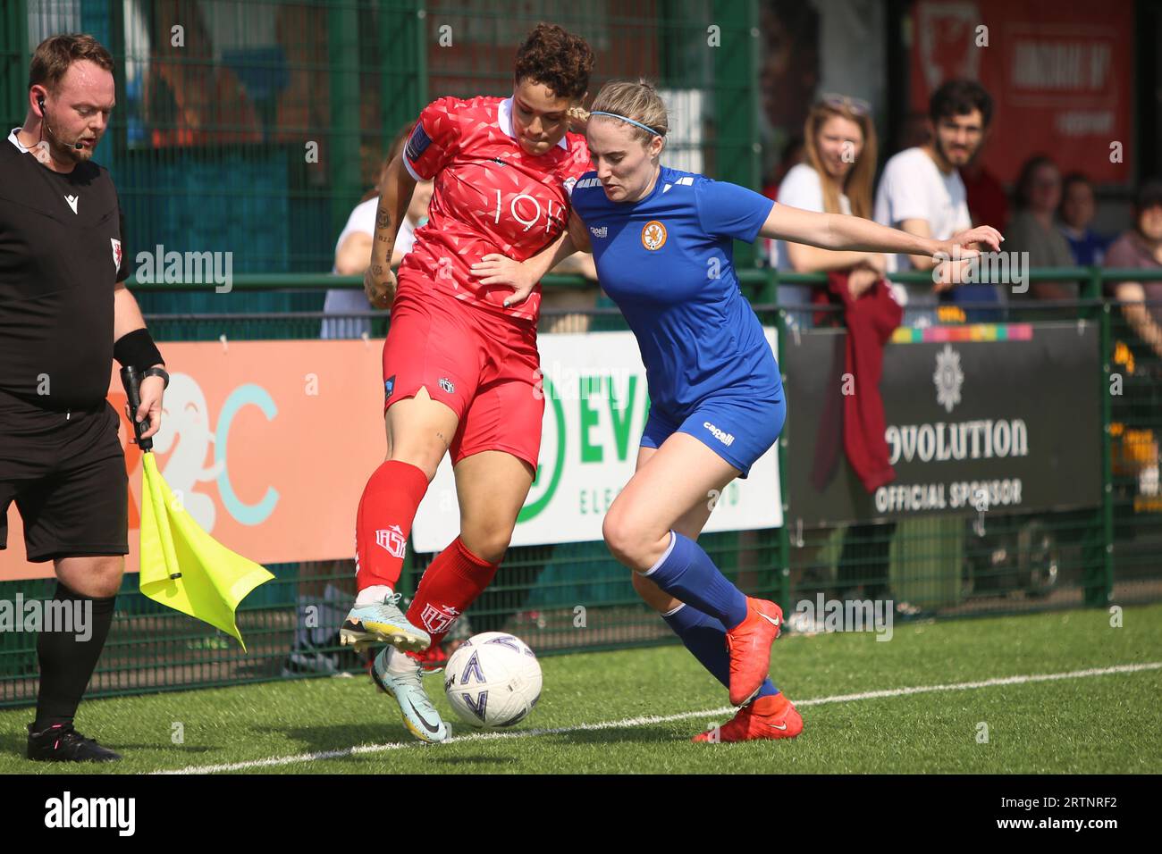 Souther priemer hi-res stock photography and images - Alamy