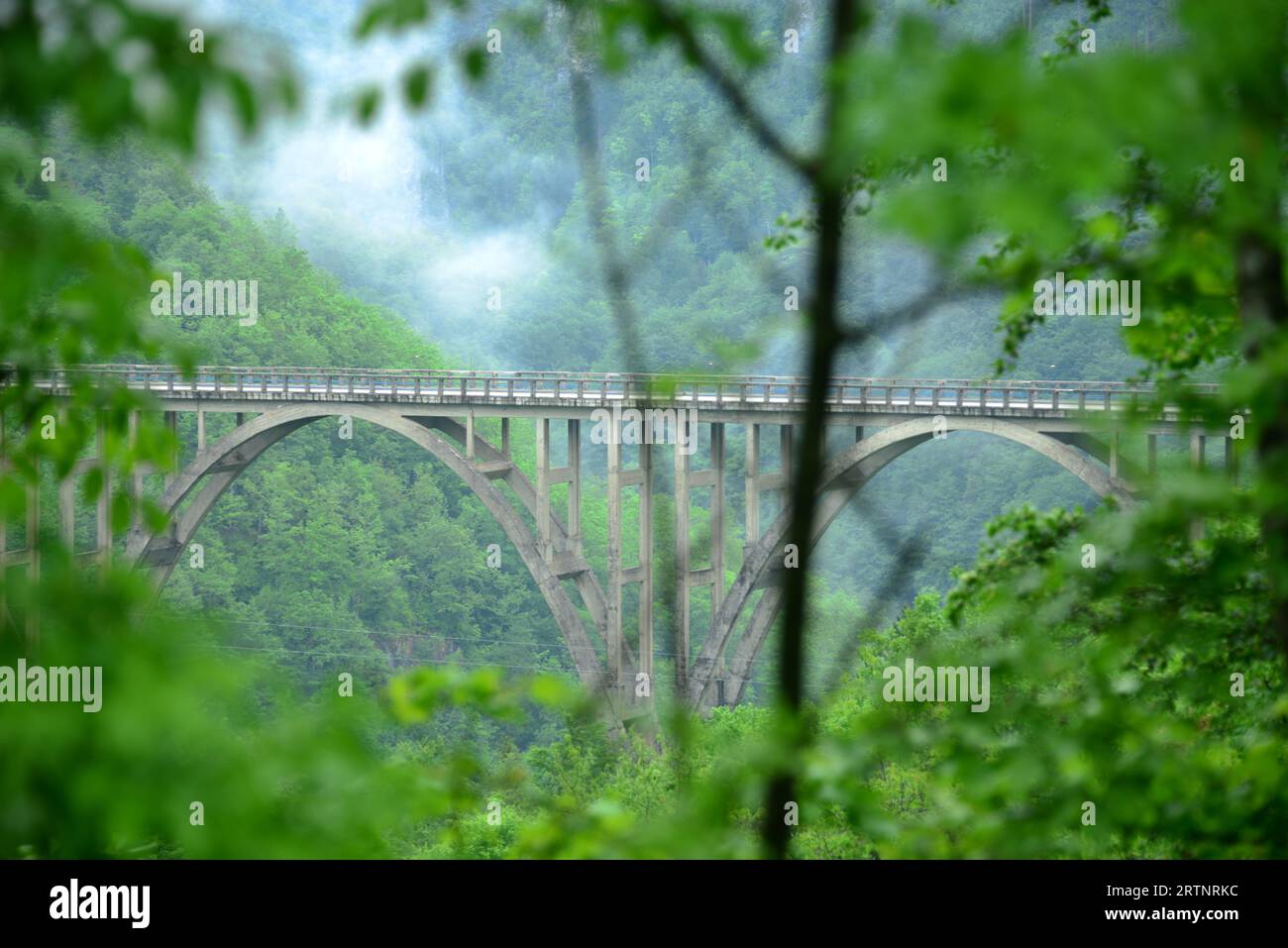 The Đurđevića Tara Bridge is the arch bridge that crosses the Tara, and ...