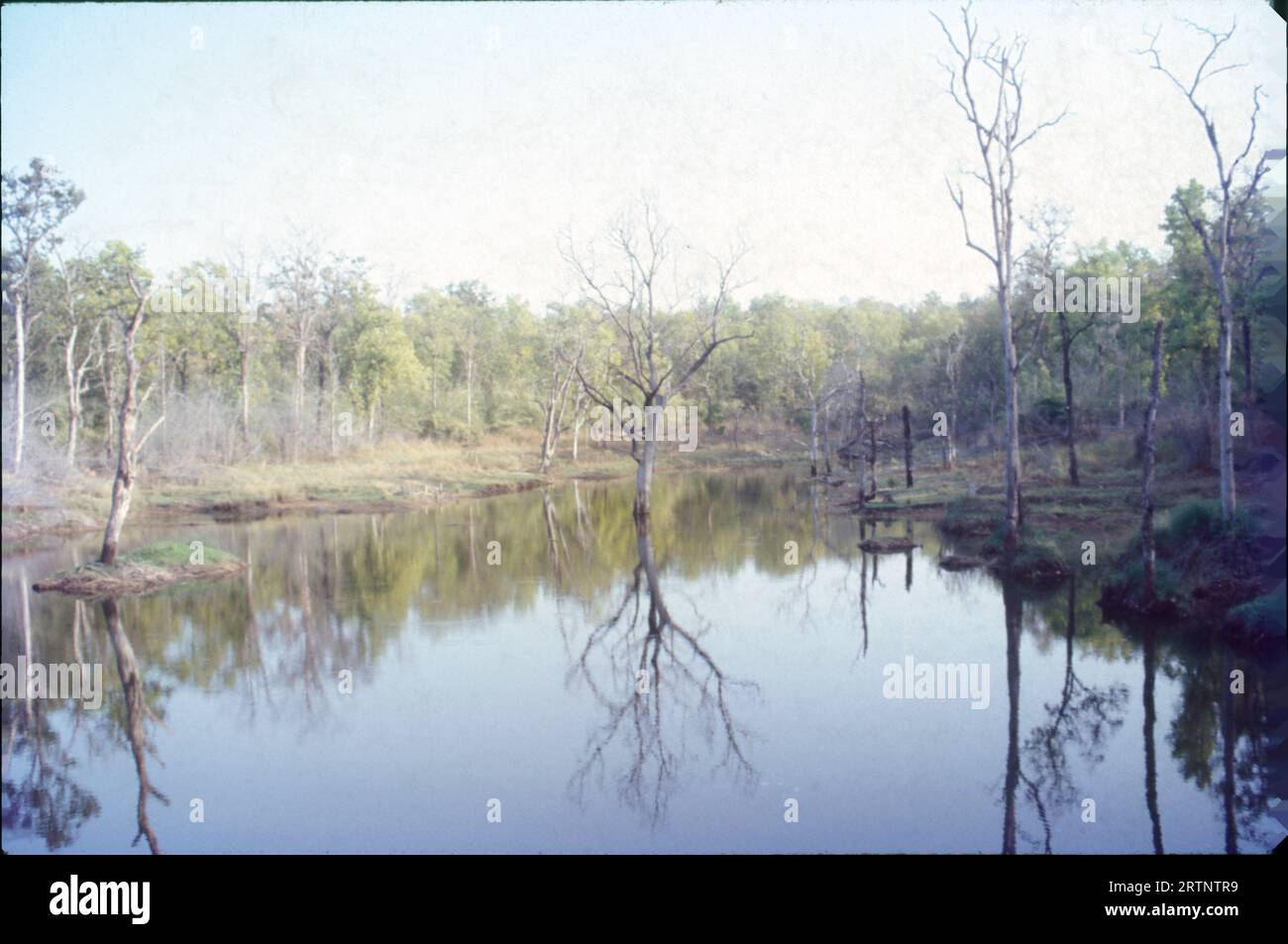 Kisli hi-res stock photography and images - Alamy