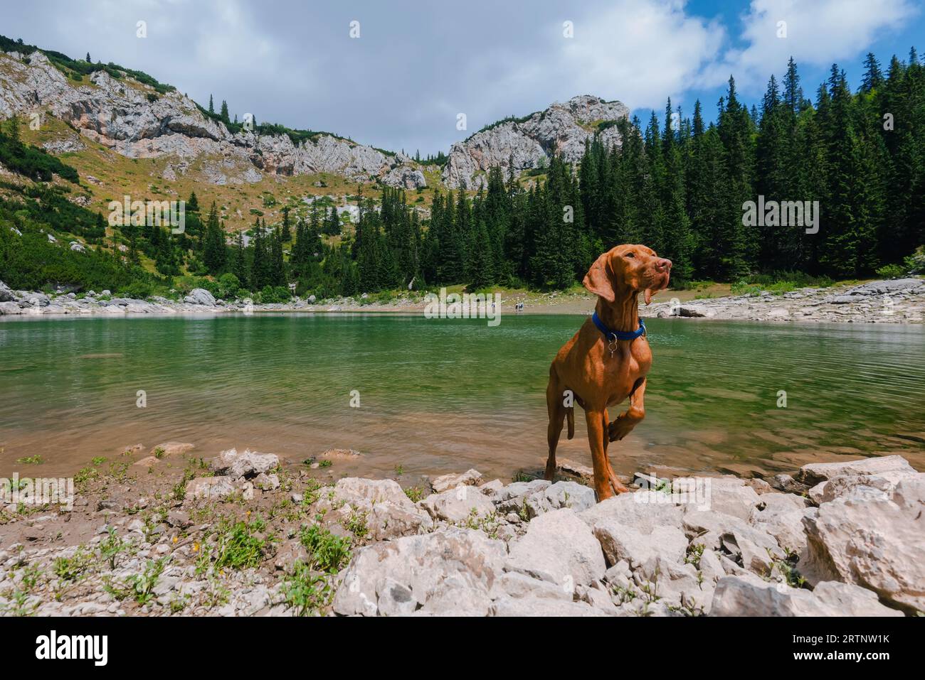 Pointing stance hi-res stock photography and images - Alamy
