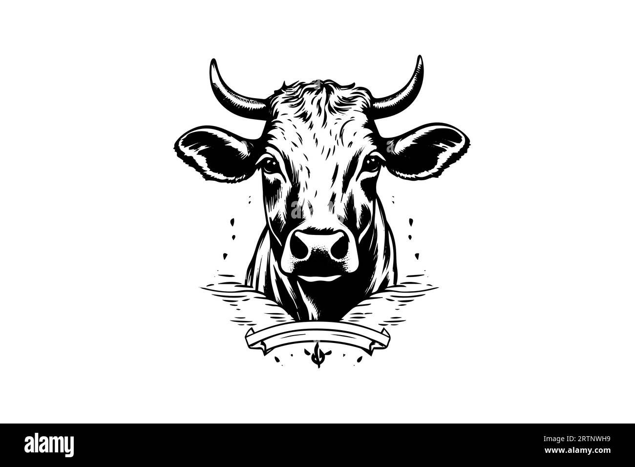 Cow logotype hand drawn ink sketch. Engraving style vector illustration ...