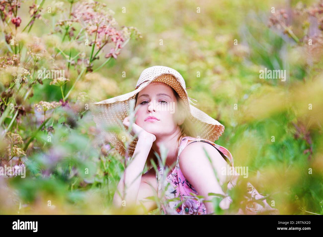 Beautiful pink meadow flowers hi-res stock photography and images - Alamy