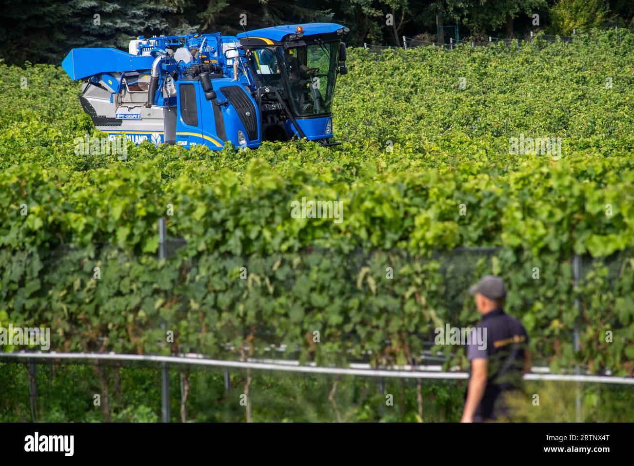 Braud harvesting vehicle hi-res stock photography and images - Alamy