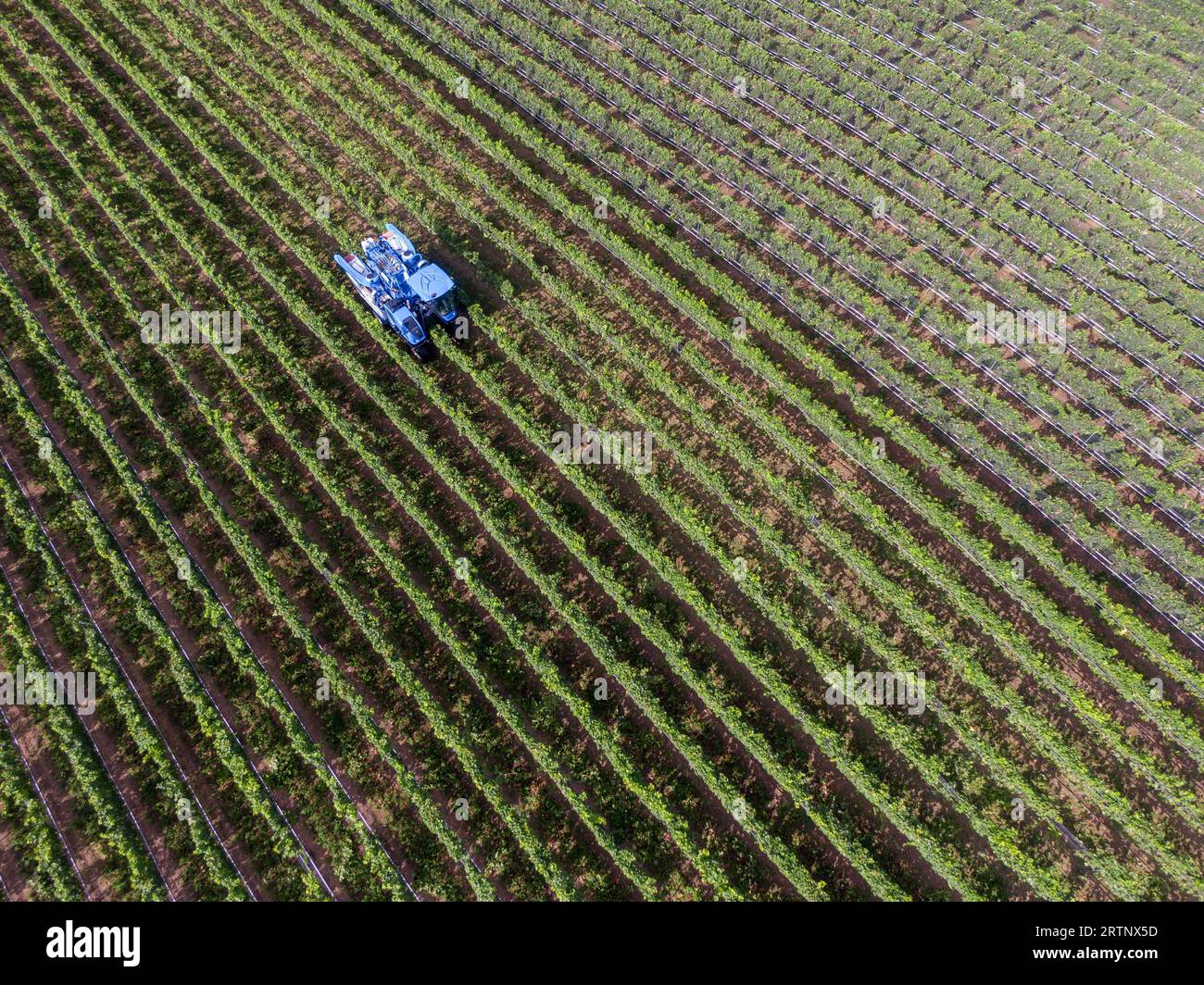 Aerial view grape harvester machine hi-res stock photography and images ...