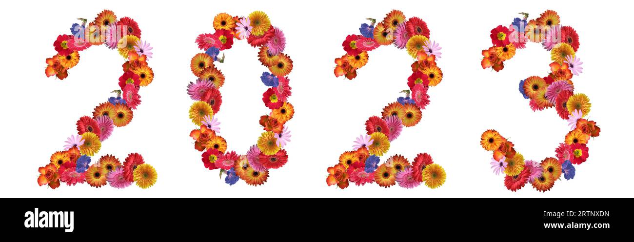 Concept or conceptual set of beautiful blooming colorful flowers ...