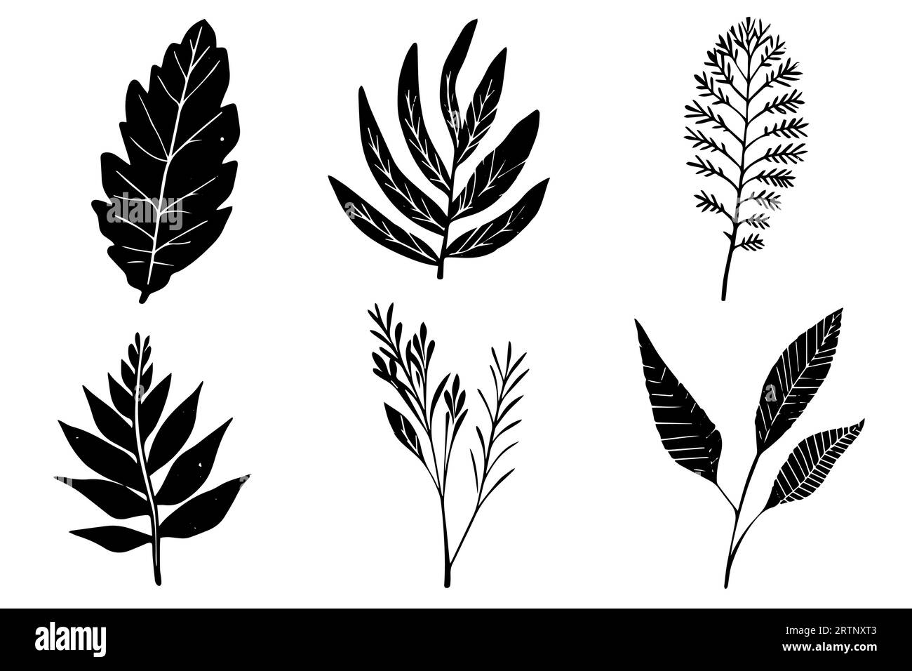 Set of lino cut vector stamp black leaves and branch imprints on white ...