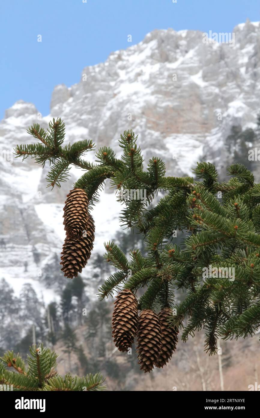 Landscape tableau hi-res stock photography and images - Alamy