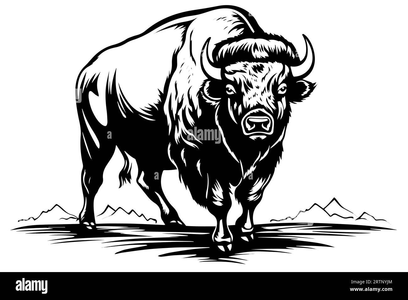 Hand drawn buffalo. Vector illustration of bull ink sketch engraving ...