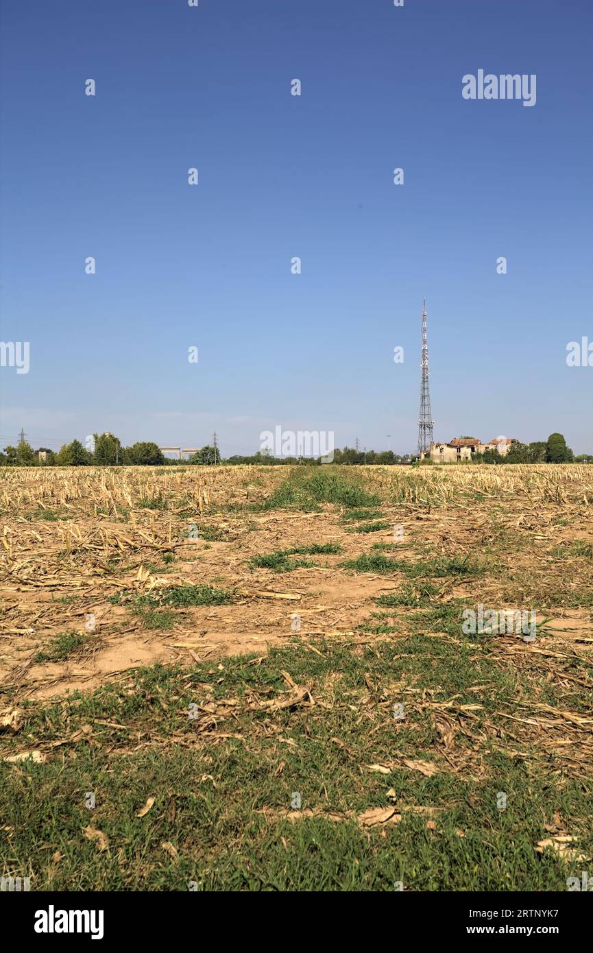 Abandoned country house surrounded by plants in a mowed corn field with ...