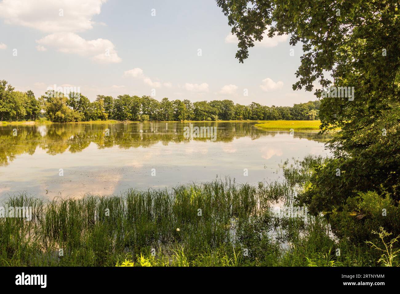 Fish lake bohemia hi-res stock photography and images - Alamy