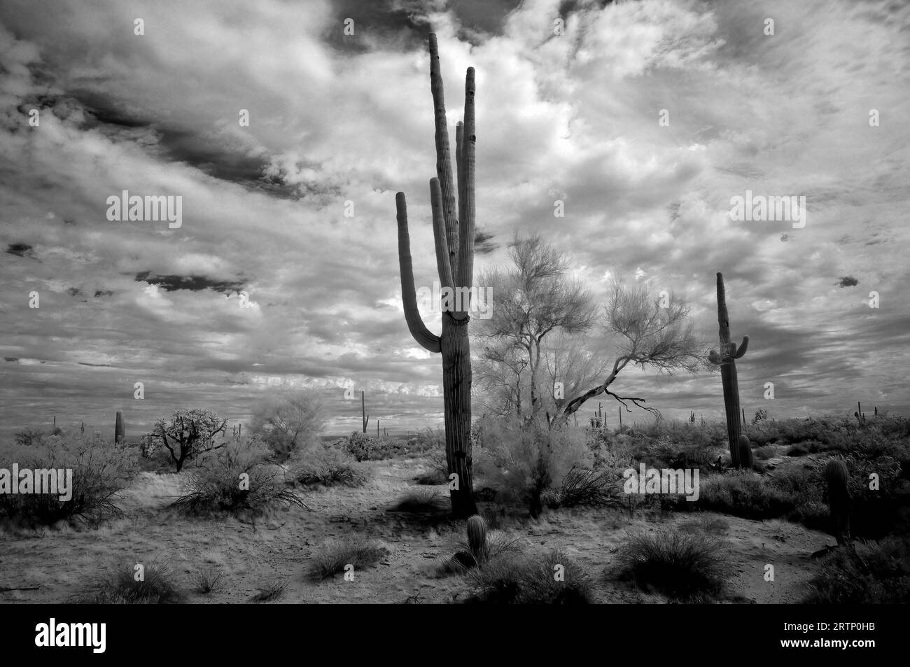 Infrared black and white image of storm clouds forming Sonora desert in ...