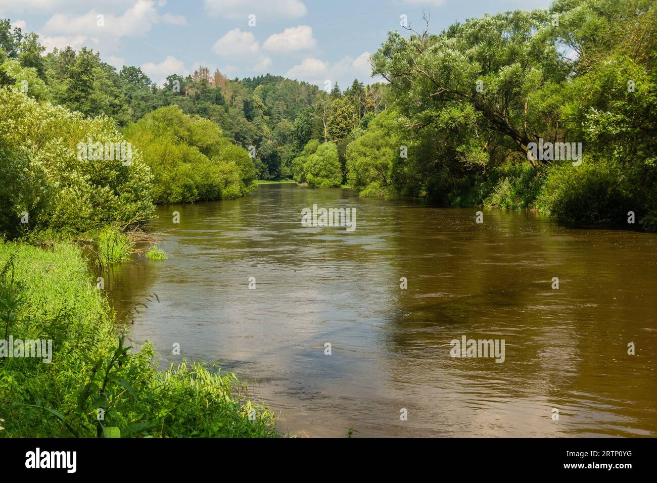 Bechyne forest hi-res stock photography and images - Alamy