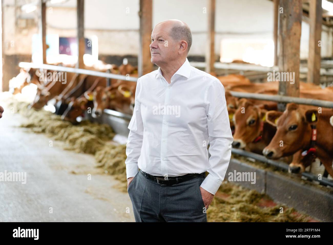 Bundeskanzler besucht Oekobauernhof Suendermann in Bremen Bundeskanzler ...
