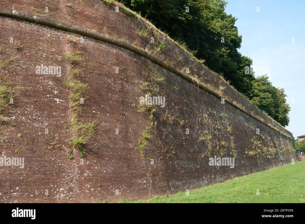 The medieval walls of Lucca, Tuscany, Italy Stock Photo - Alamy