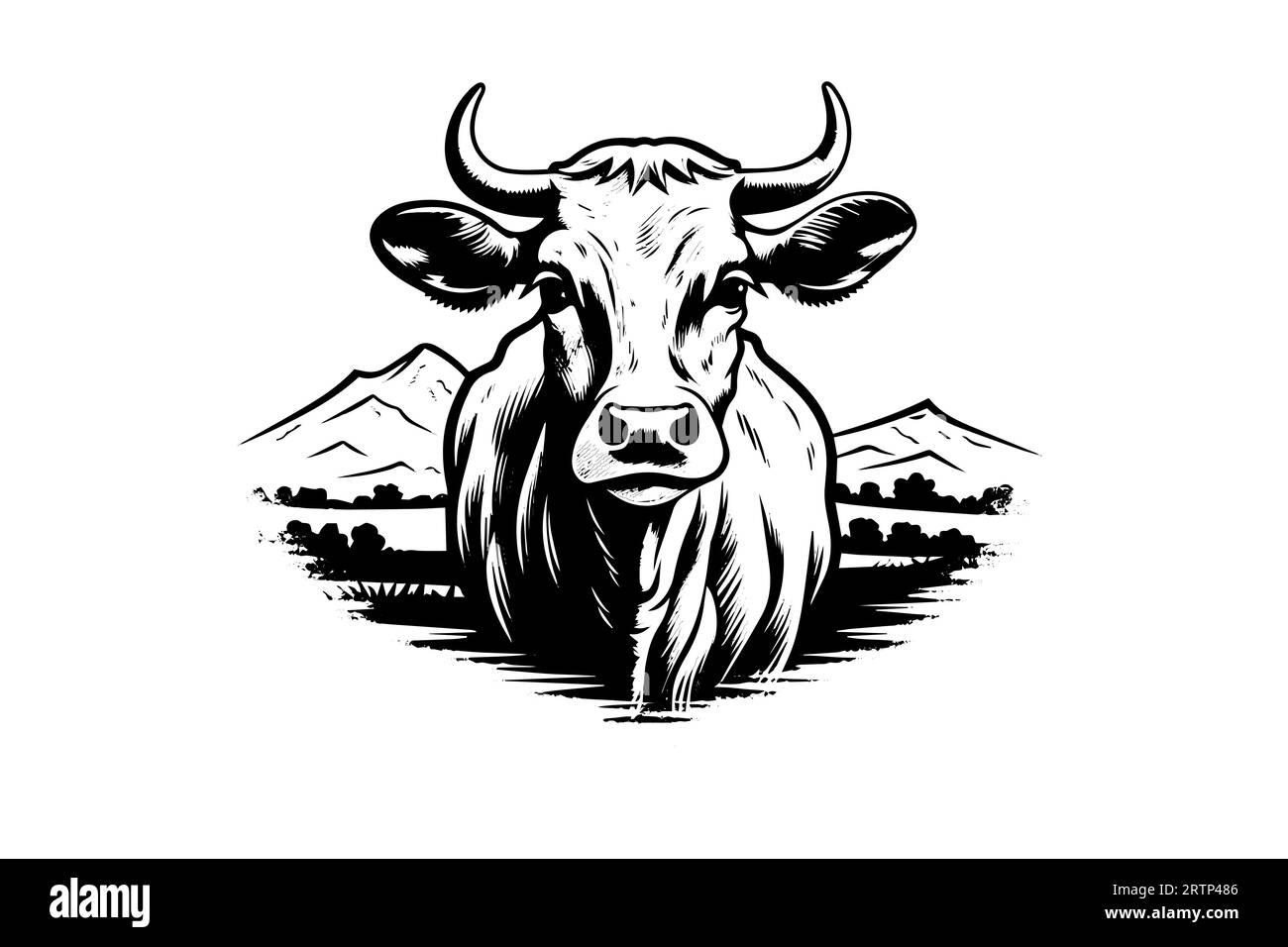 Cow logotype hand drawn ink sketch. Engraving style vector illustration ...