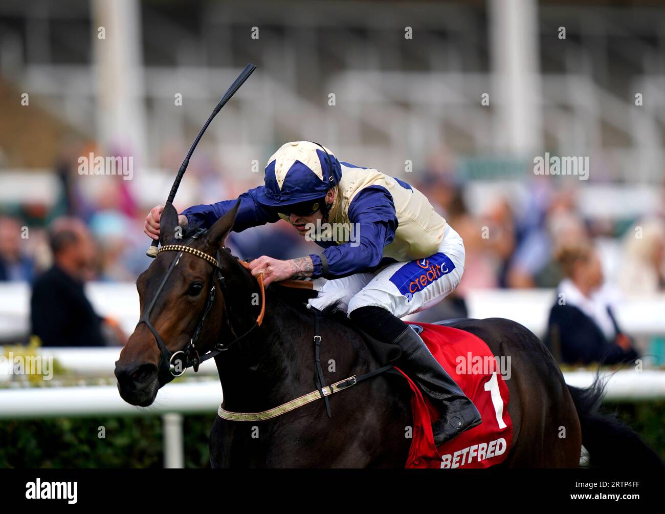 Clifford lee jockey hi-res stock photography and images - Alamy