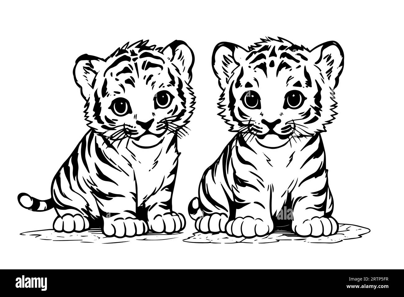 Hand drawn engraving style sketch of a tiger cub, vector ink ...
