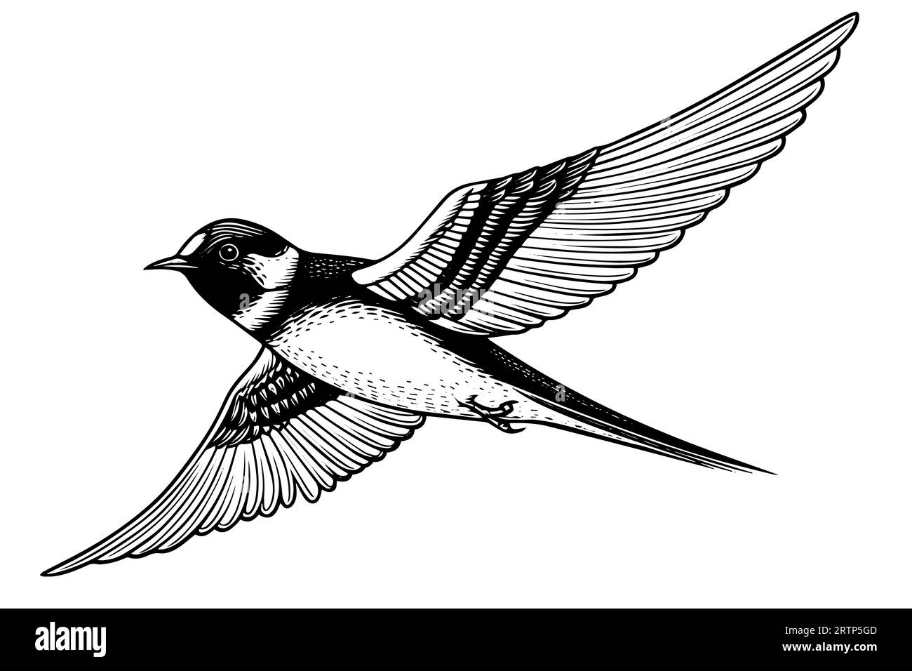 Ink sketch of flying swallow. Hand drawn engraving style vector ...