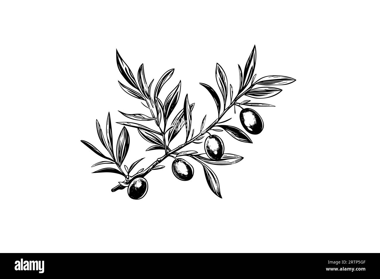 Olive oil collage Black and White Stock Photos & Images - Alamy