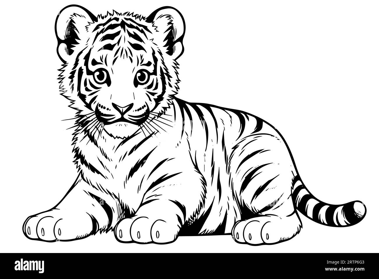 Hand drawn engraving style sketch of a tiger cub, vector ink ...
