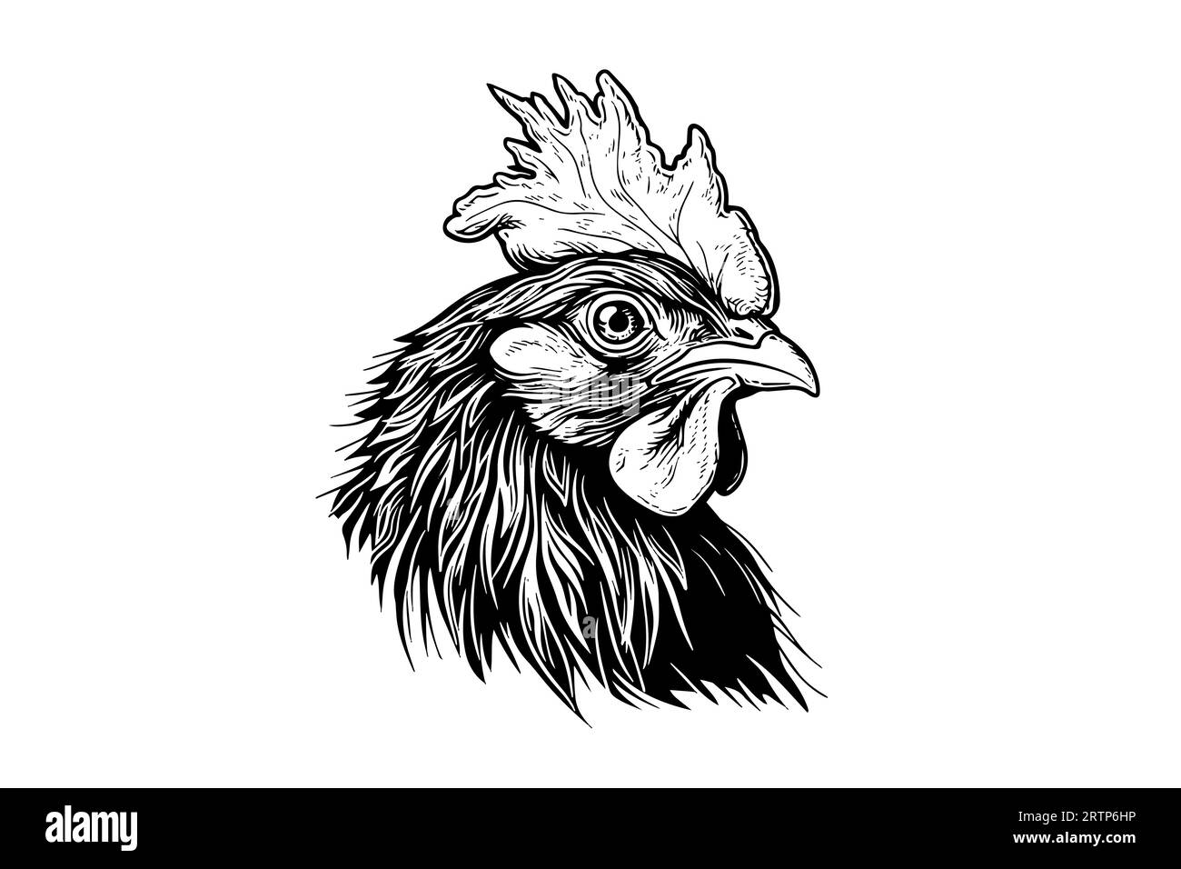 Chicken in cartoon style Black and White Stock Photos & Images - Alamy