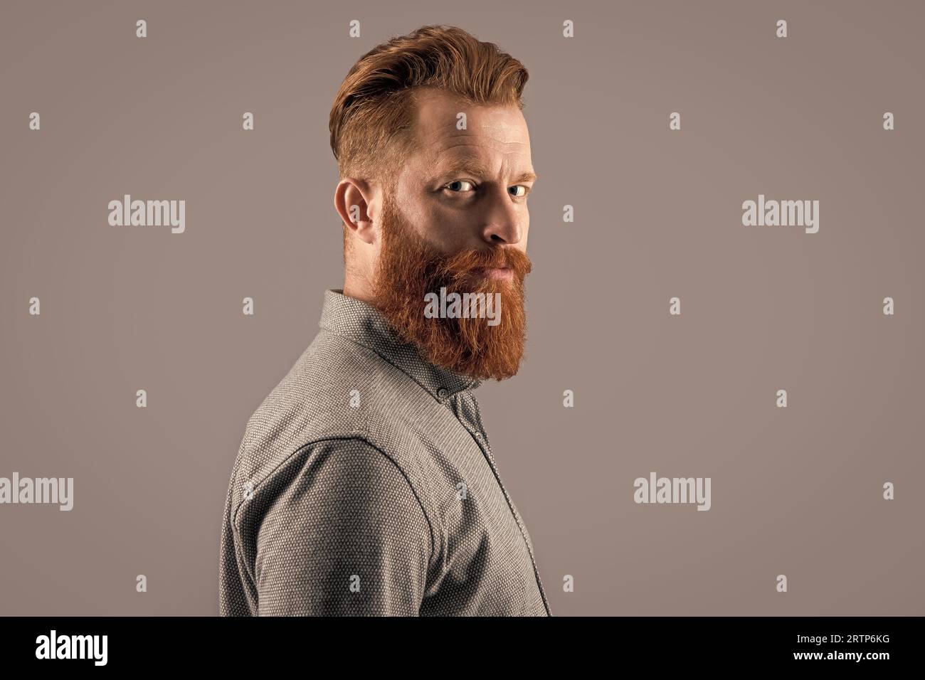 Portrait of bearded man half turn. Irish man with long beard and ...