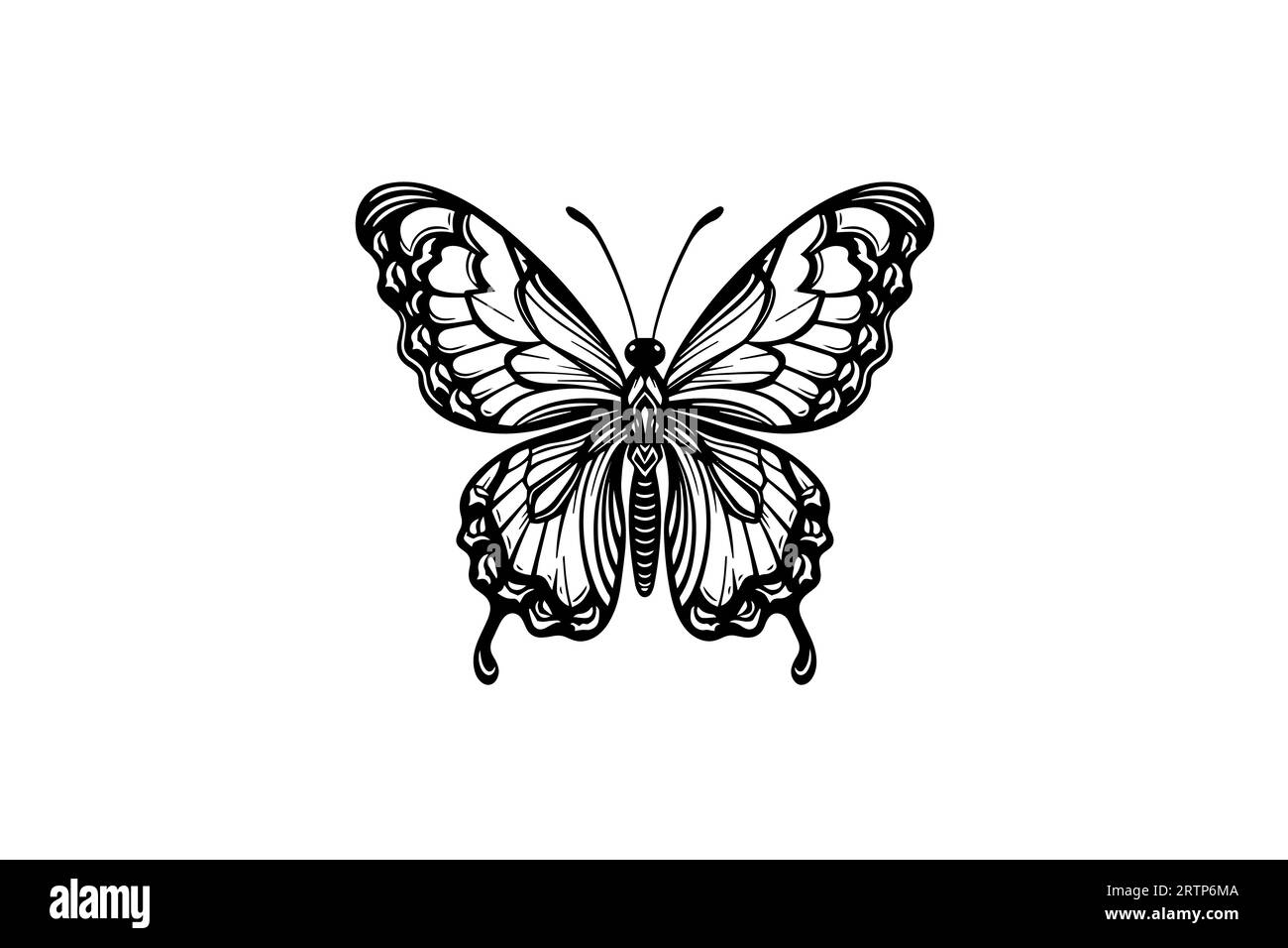 Butterfly sketch. Hand drawn engraving style vector illustration Stock ...