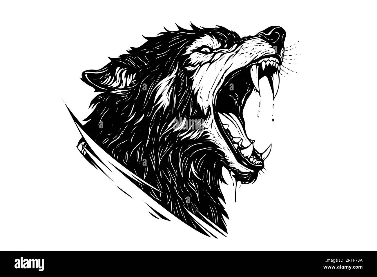 Angry wolf head hand drawn ink sketch. Engraving vintage style vector ...